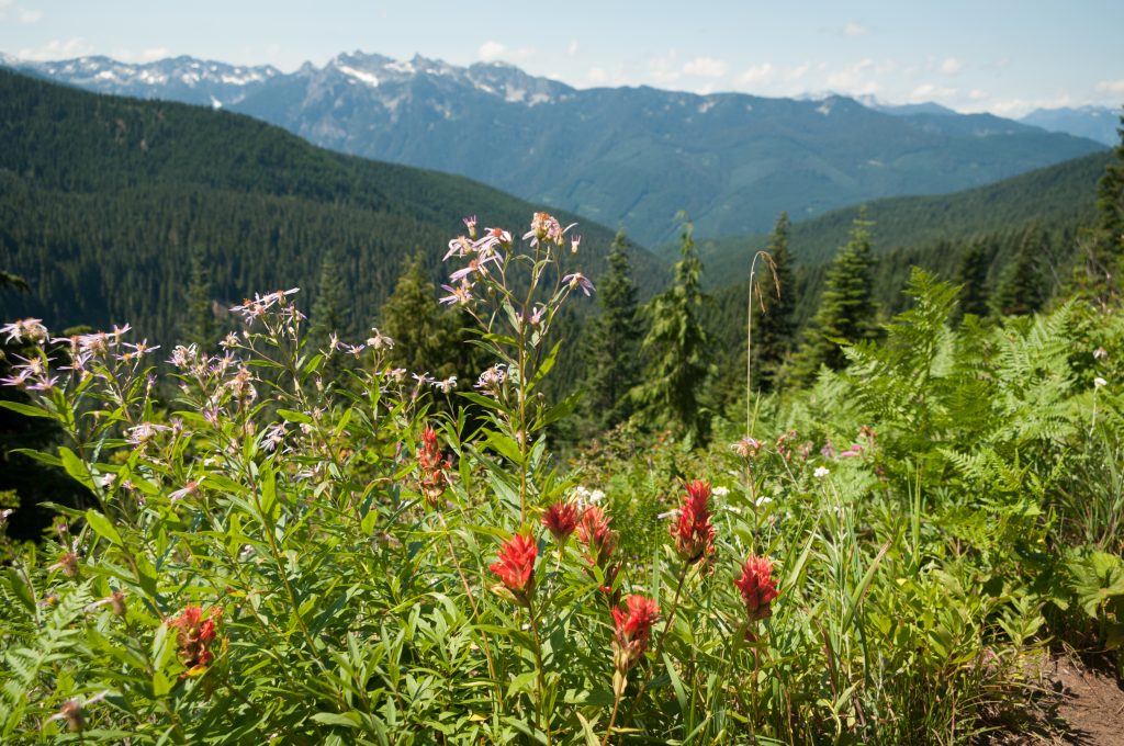 Mount Sawyer